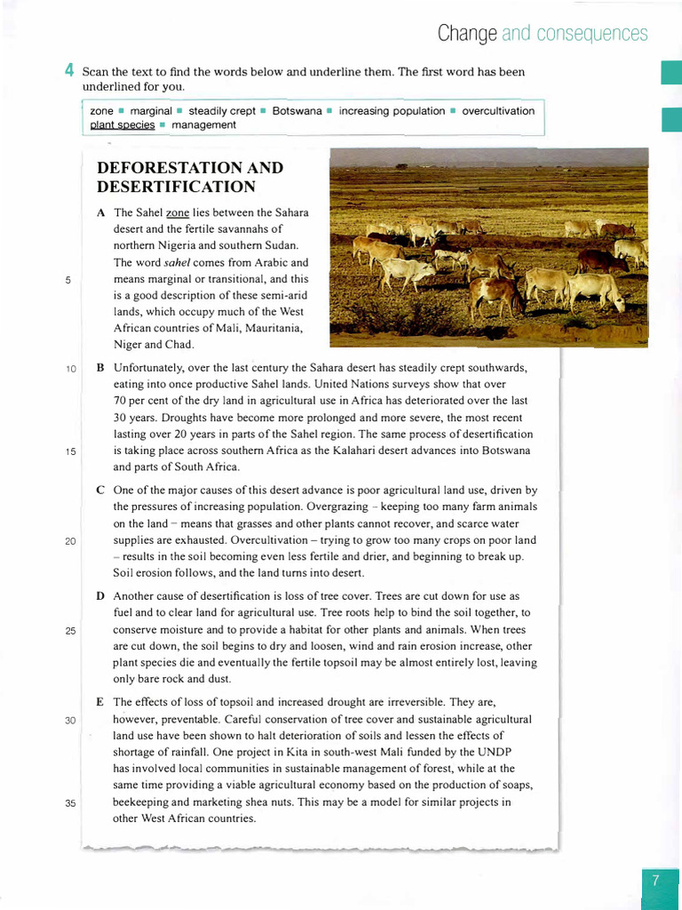 Reading - Deforestation and Desertification ) | PDF | Bird Migration ...
