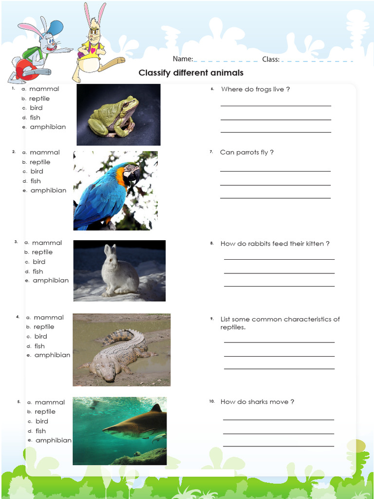 1_updated_CLASSIFY ANIMALS | PDF