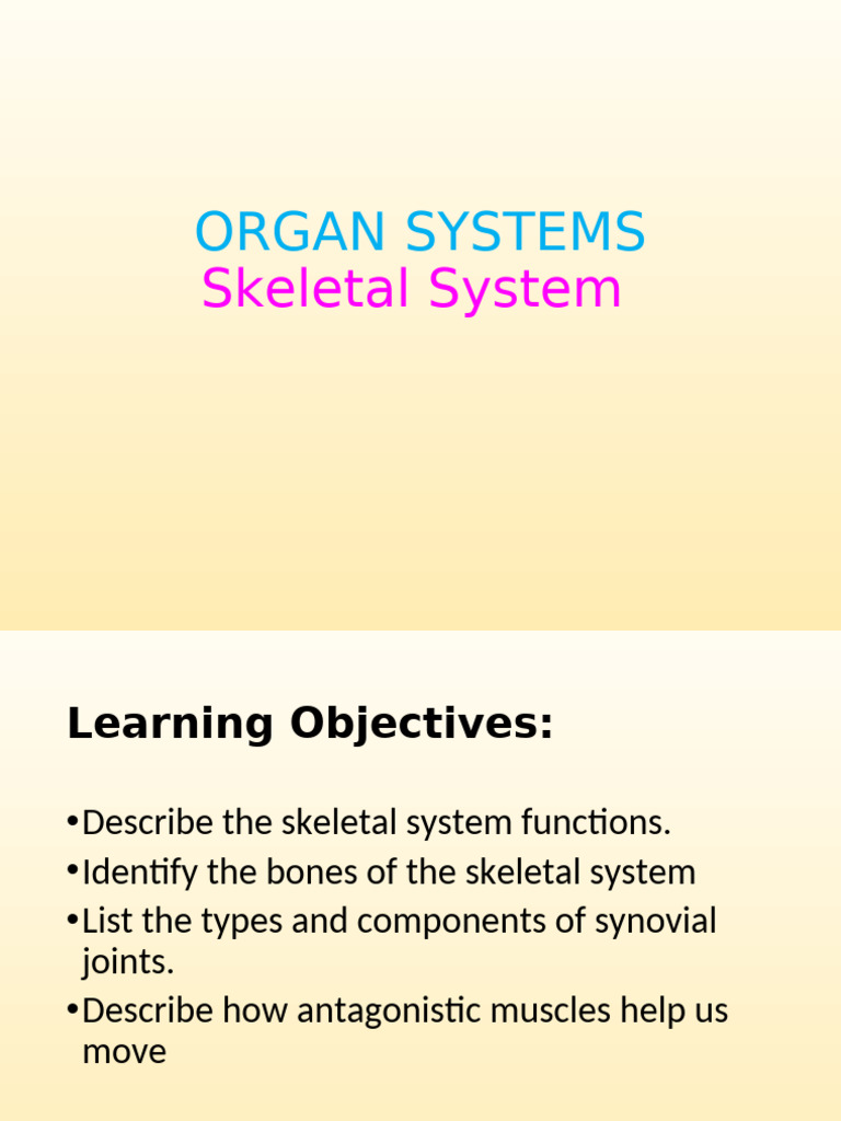 2e ORGAN SYSTEMS Skeleton and Joints. | PDF | Science & Mathematics
