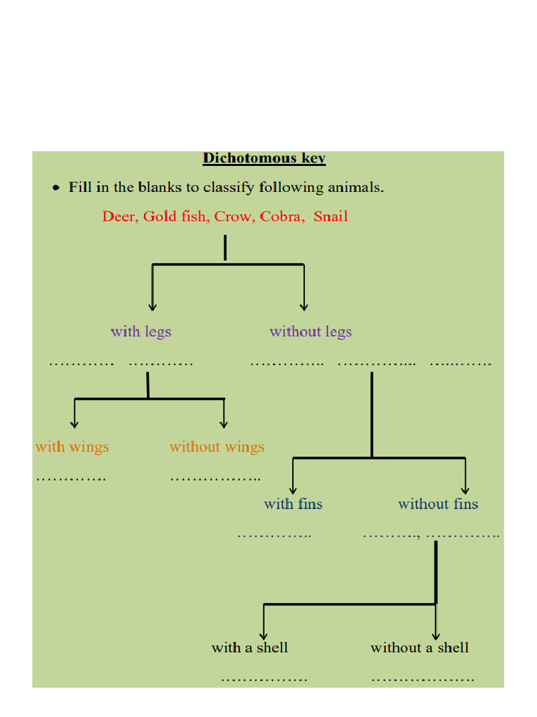 Dichotomous Key | PDF