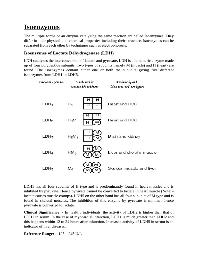 Isoenzymes in Clinical Diagnostics | PDF