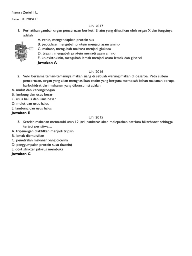 Kumpulan File UN Dan PTN Materi Sistem Pencernaan | PDF | Kesehatan Holistik