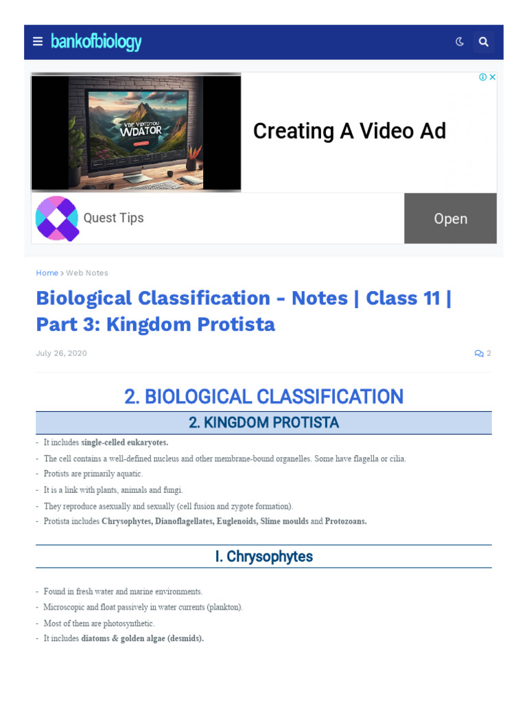 Kingdom Protista | PDF | Protozoa | Cell (Biology)