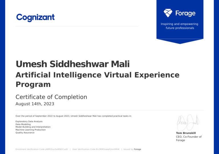 Cognizant Internship | PDF