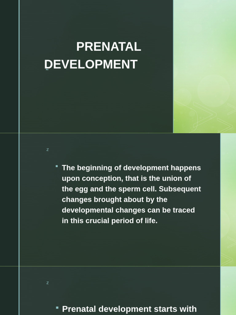Chapter 4- Prenatal Development | PDF | Pregnancy | Prenatal Development