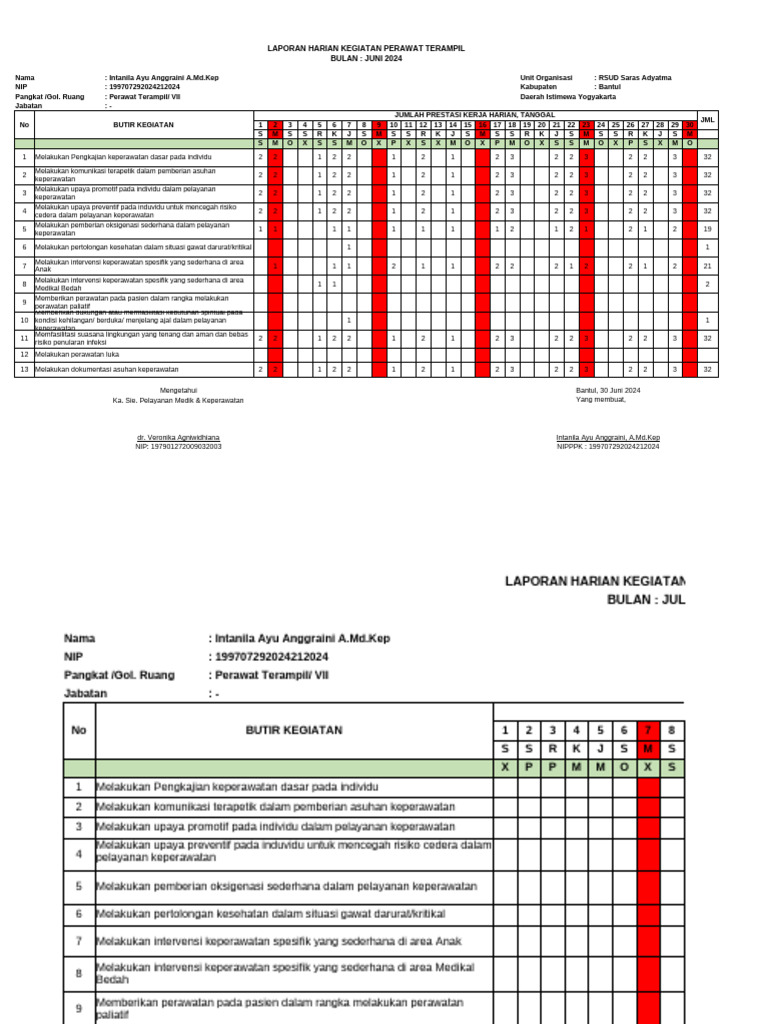 Laporan Harian 2024, InTAN | PDF