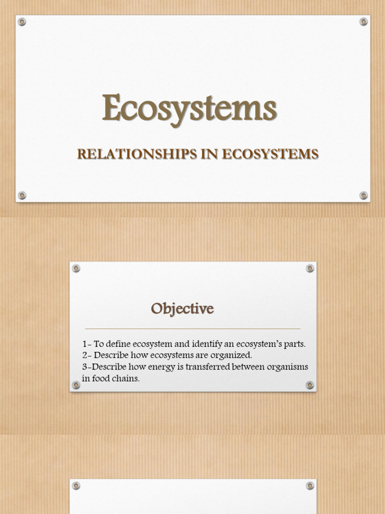 Ecosystem | PDF | Foods | Ecosystem