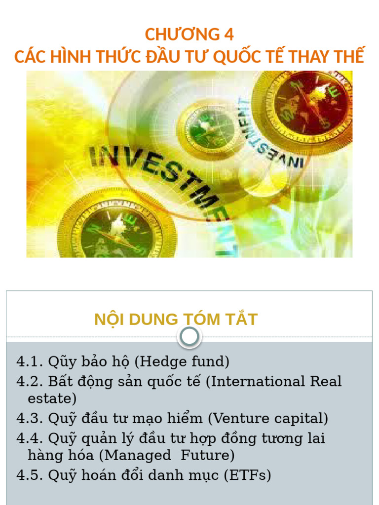 CHAPTER 4 Cac Hinh Thuc Dau Tu Thay The | PDF