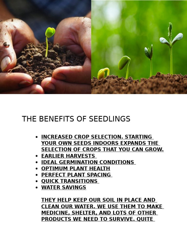 The Benefits of Seedlings | PDF | Home & Garden