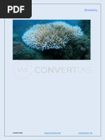 Coral Bleaching Worksheet | PDF | Coral | Coral Reef