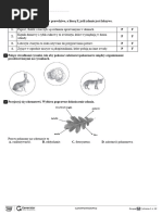 Kartkówka Przyroda Klasa 4 | PDF