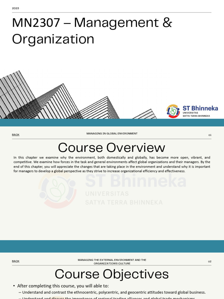 03 - Managing in Global Environment_compressed | PDF | Organizational ...