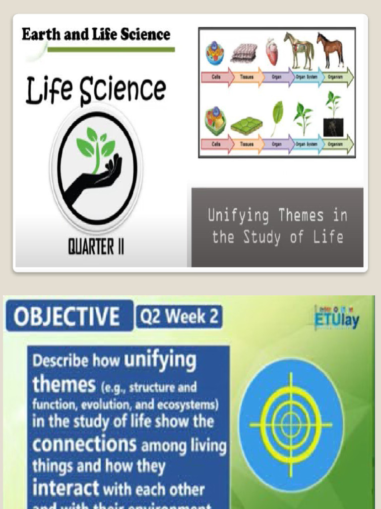 Els Q2 W1 Lesson 2 | PDF
