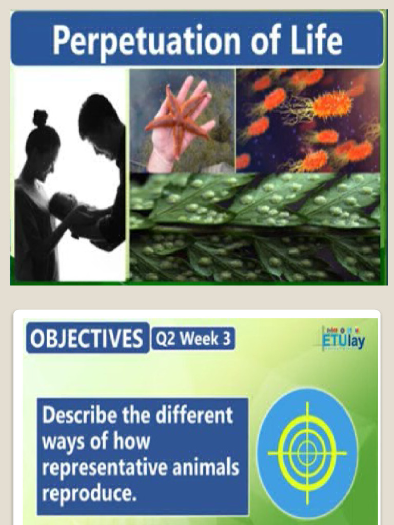 Els q2 Week 2 Lesson 3 | PDF Els q2 Week 2 Lesson 3 | PDF