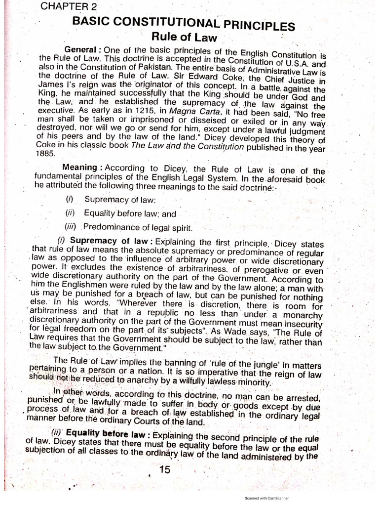 Basic Constitutional Principles | PDF