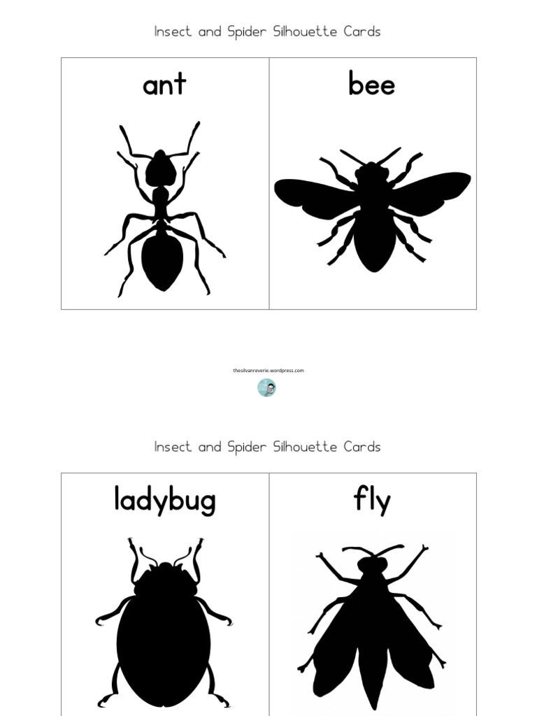 Insect and Spider Silhouette Cards | PDF