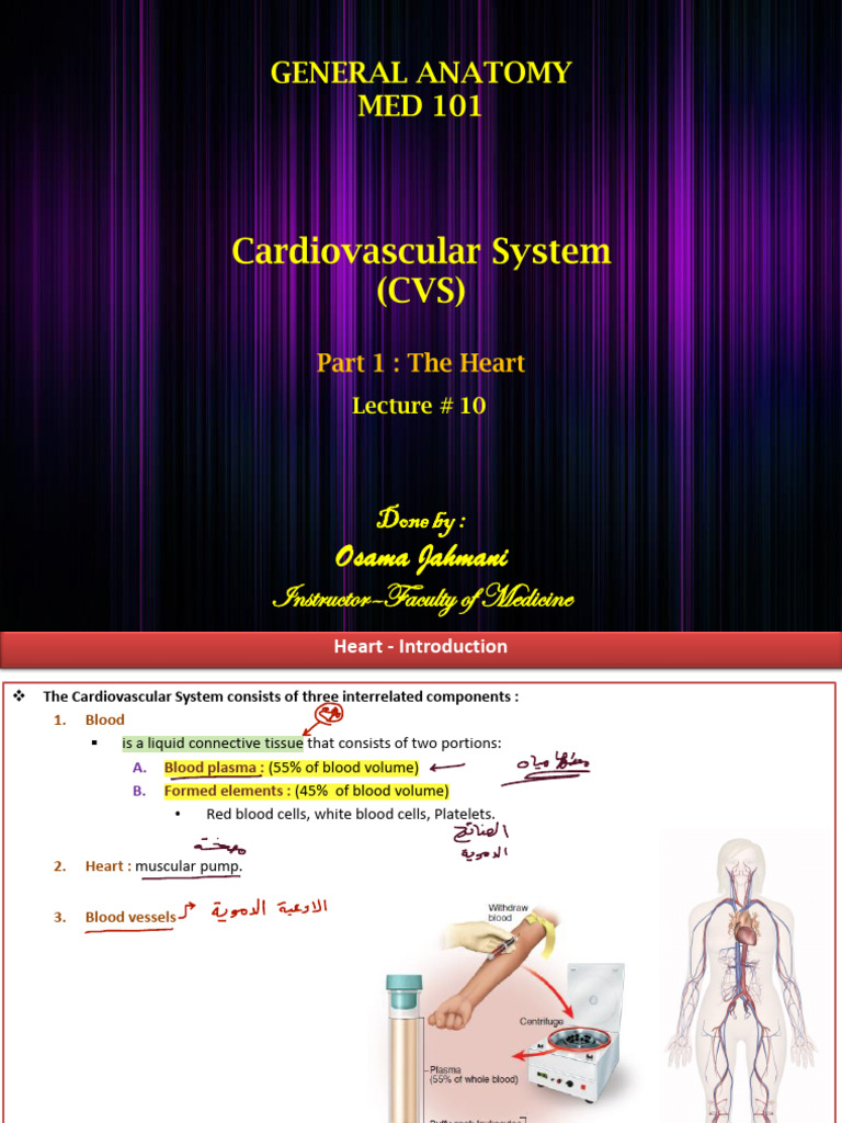 Lecture #10 - Cardiovascular System - Part 1 - The Heart | PDF | Heart ...
