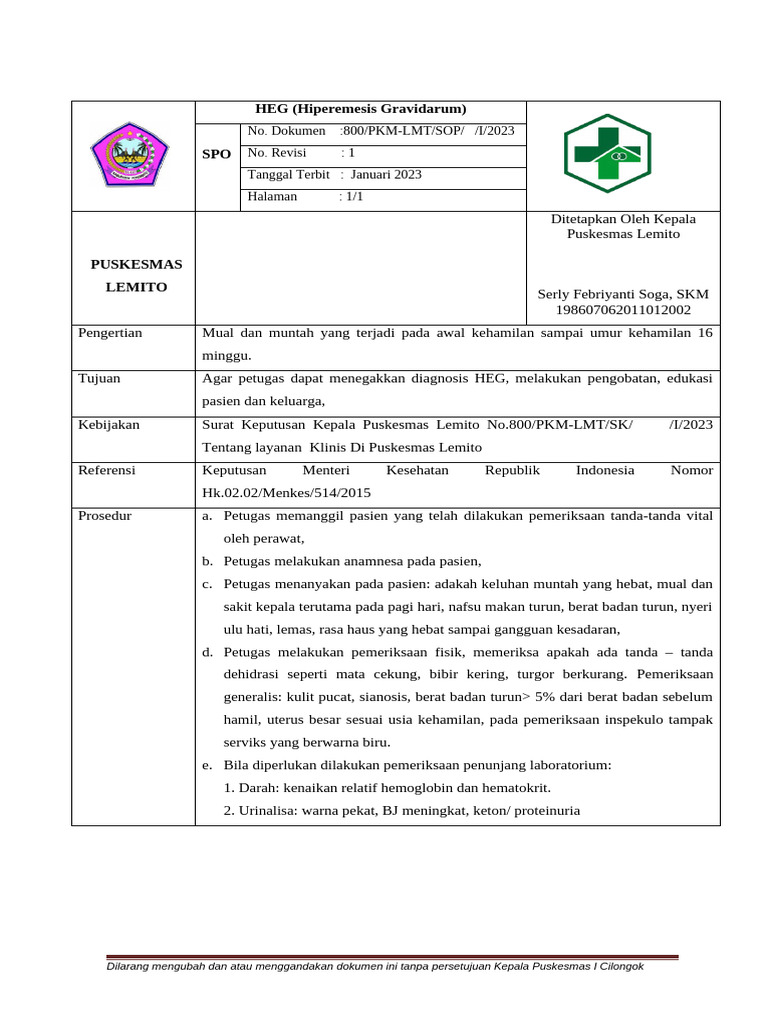 HEG (Hiperemesis Gravidarum) | PDF