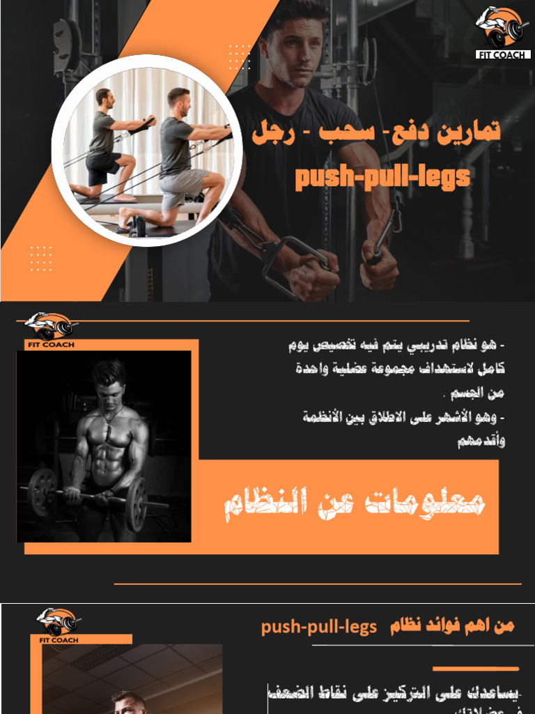Push Pull Legs | PDF