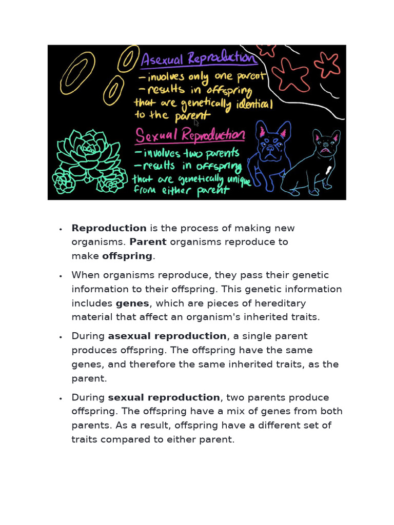 Reproduction and Genetic Traits Explained | PDF | Reproduction | Flowers