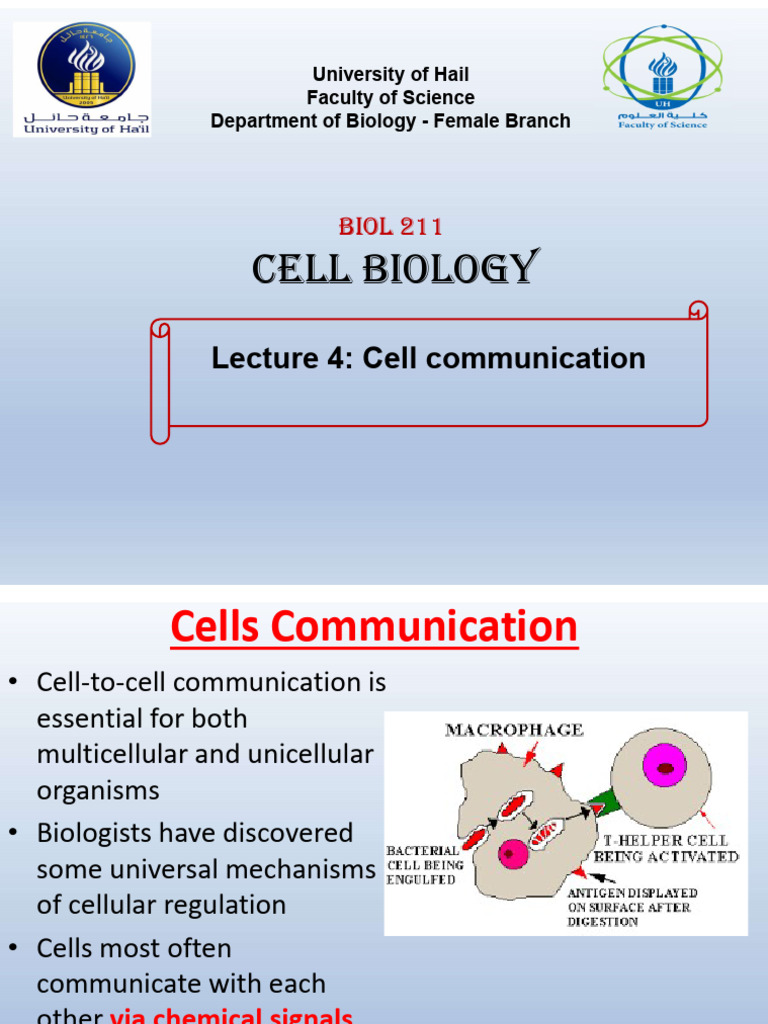 Lecture 4- Cell Communication | PDF | Cell Signaling | Signal Transduction