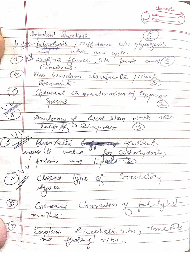 Class 11th Biology important questions | PDF