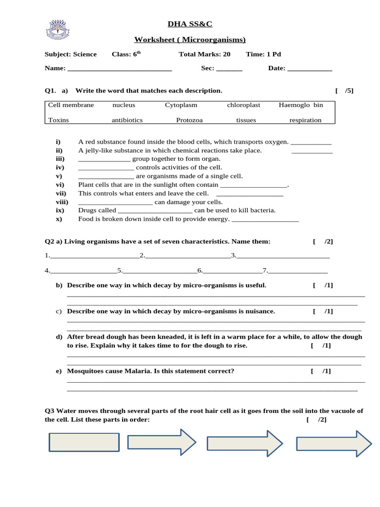 Science Worksheet Micro-Organisms | PDF | Cell (Biology) | Microorganism