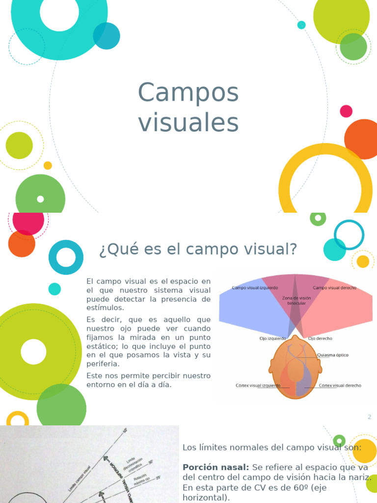 Campos Visuales | PDF | Percepción visual | Discapacidad visual