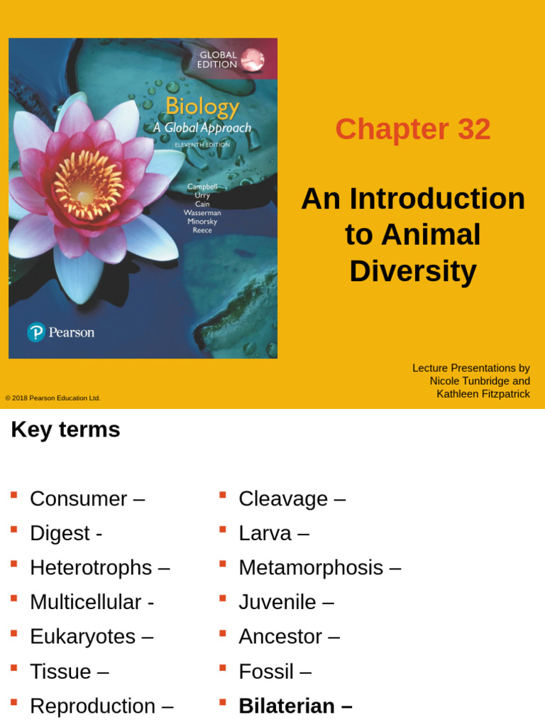 Introduction to Animal Diversity Concepts | PDF | Biology