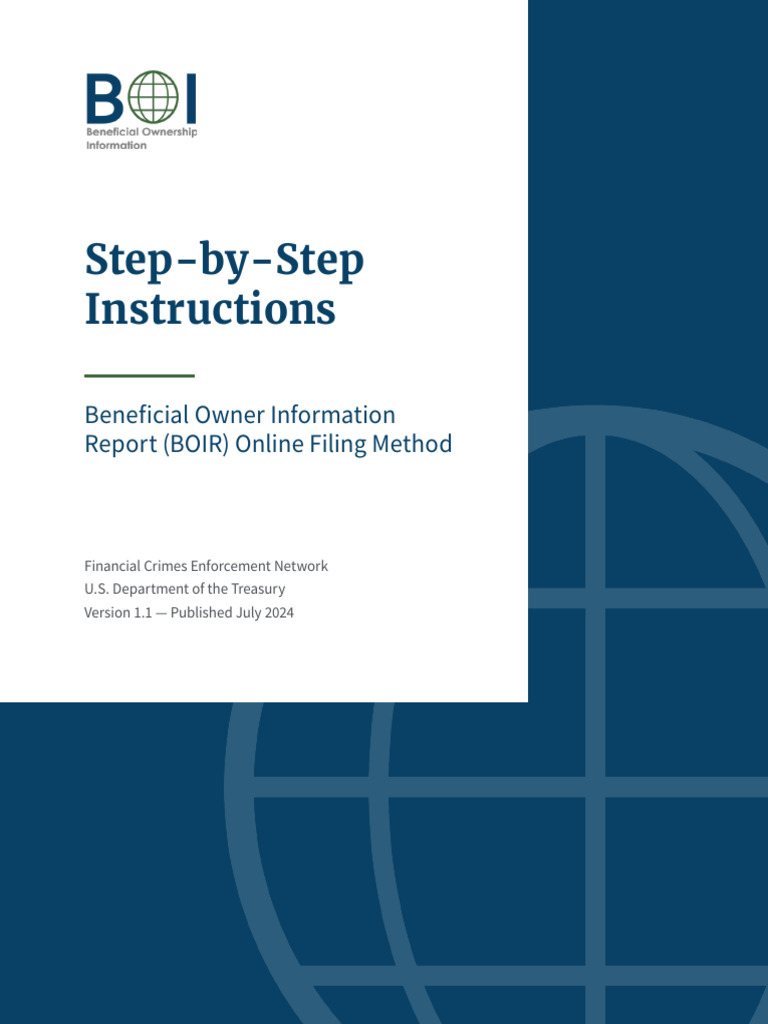 BOIR E-File Online Step-by-Step Instructions | PDF | Identity Document
