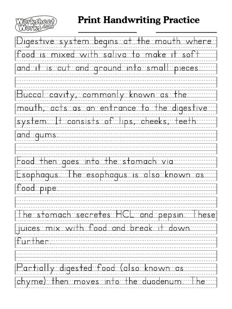 WorksheetWorks Print Handwriting Practice 2 | PDF | Finance & Money ...