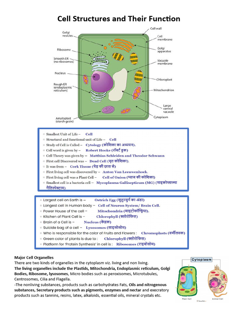 Kunal-544) Cell Structure - Kunal | PDF | Rna | Cytoplasm