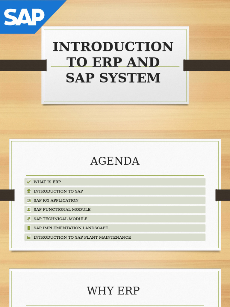 Sap Introduction | PDF