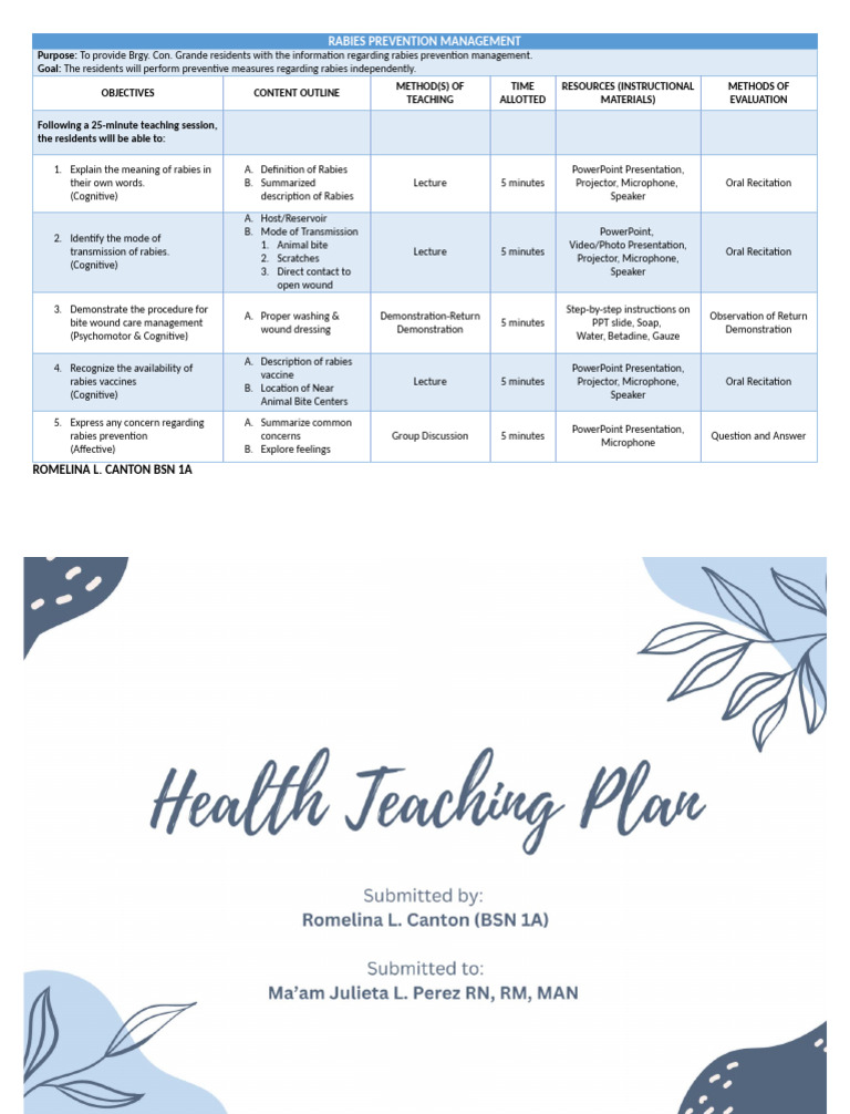 Teaching Plan Final | PDF | Rabies | Lecture
