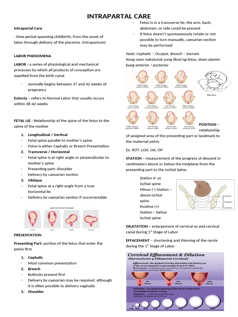 Intrapartal Care and Labor Dynamics | PDF | Pelvis | Childbirth