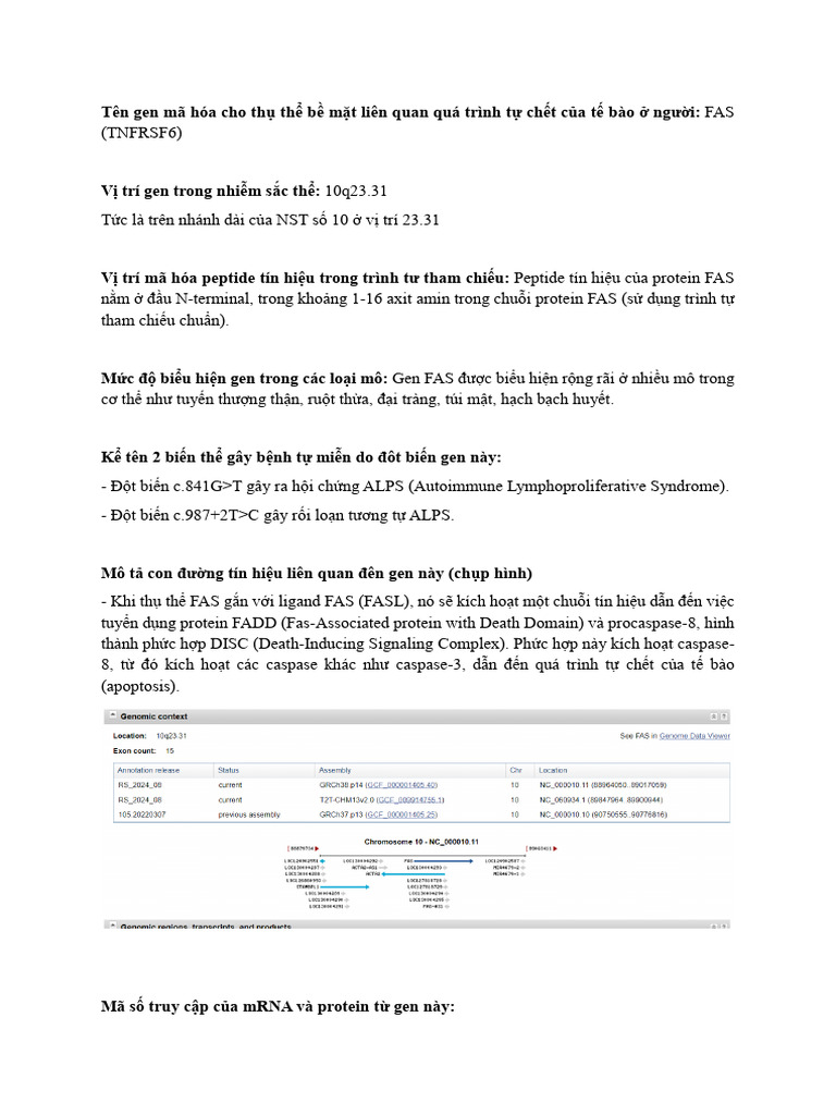 - Phạm Quang Minh Hiếu - Khai Thác SCDl | PDF