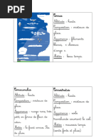 Types de Nuages | PDF | Nuage | Météorologie