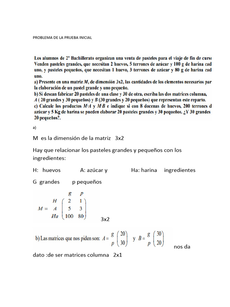 PROBLEMA de matrices DE LA PRUEBA INICIAL | PDF