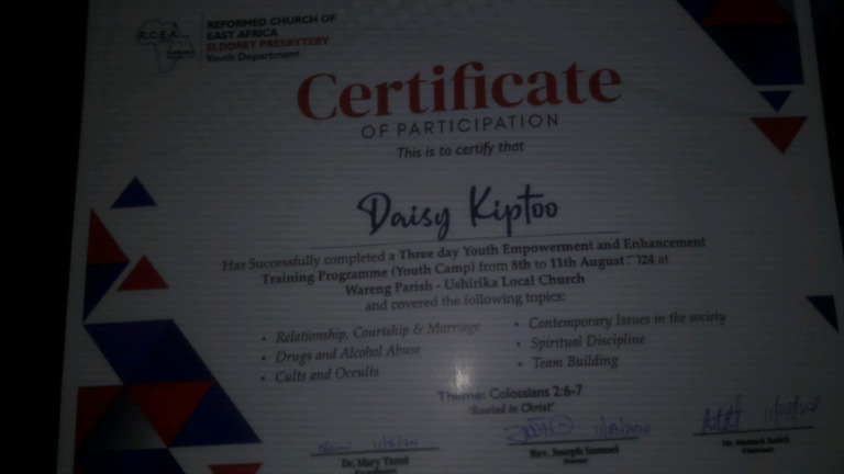 PDF_Phoenix_20240811_162020 | PDF