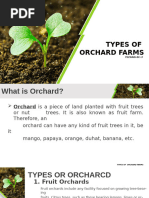 Agri Lesson 5 - Types of Orchard Farm | PDF | Trees | Fruit