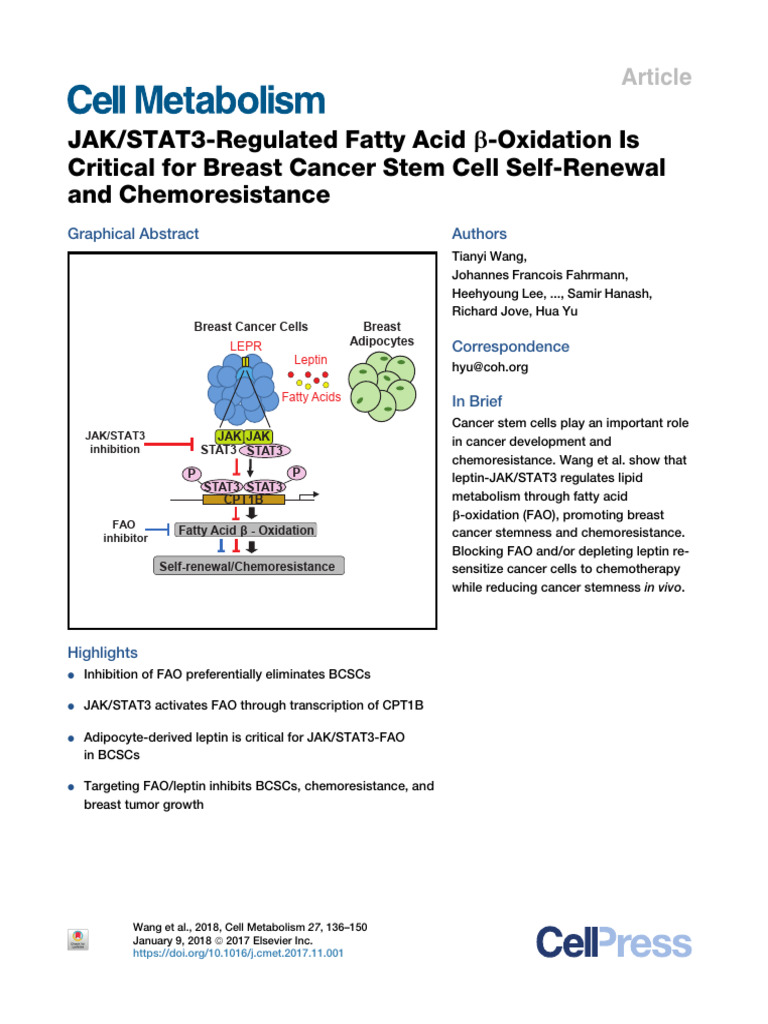 Fatty Acid Oxidation - JAK - STAT - Cell2017 | PDF | Metabolic Pathway ...