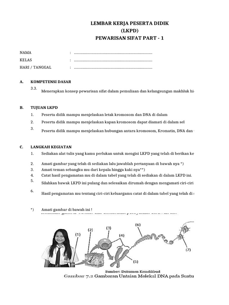 LKPD Pewarisan Sifat Part - 1 | PDF | Kajian Bahasa Asing | Kesehatan Holistik