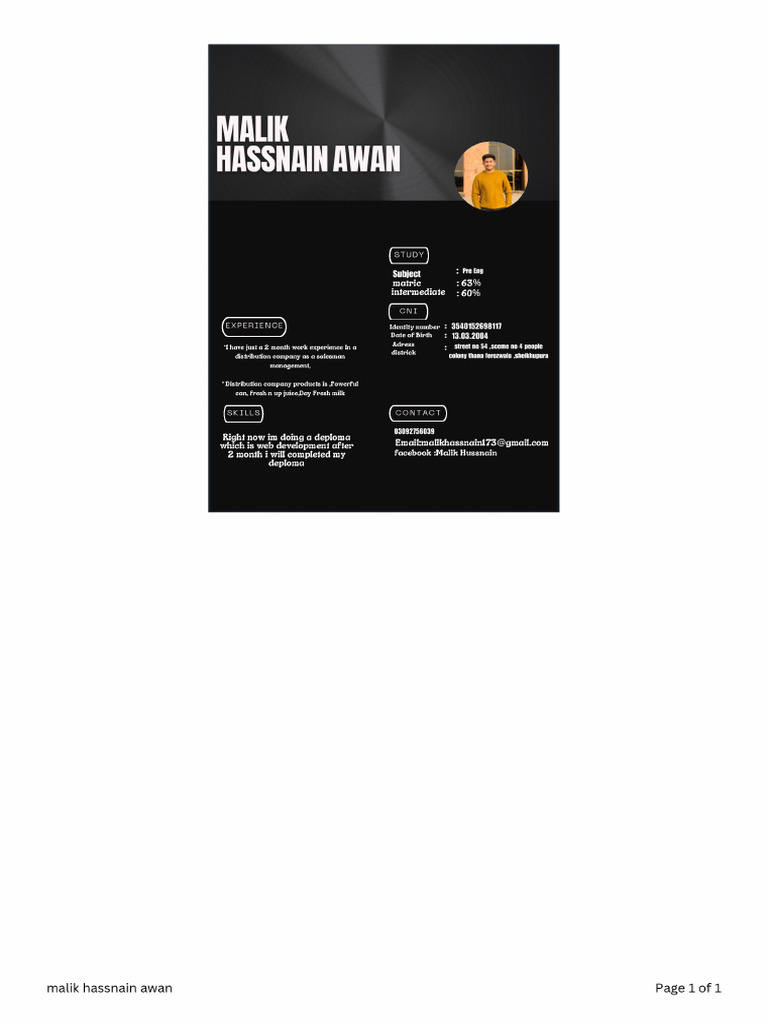 Malik Hassnain Awan | PDF