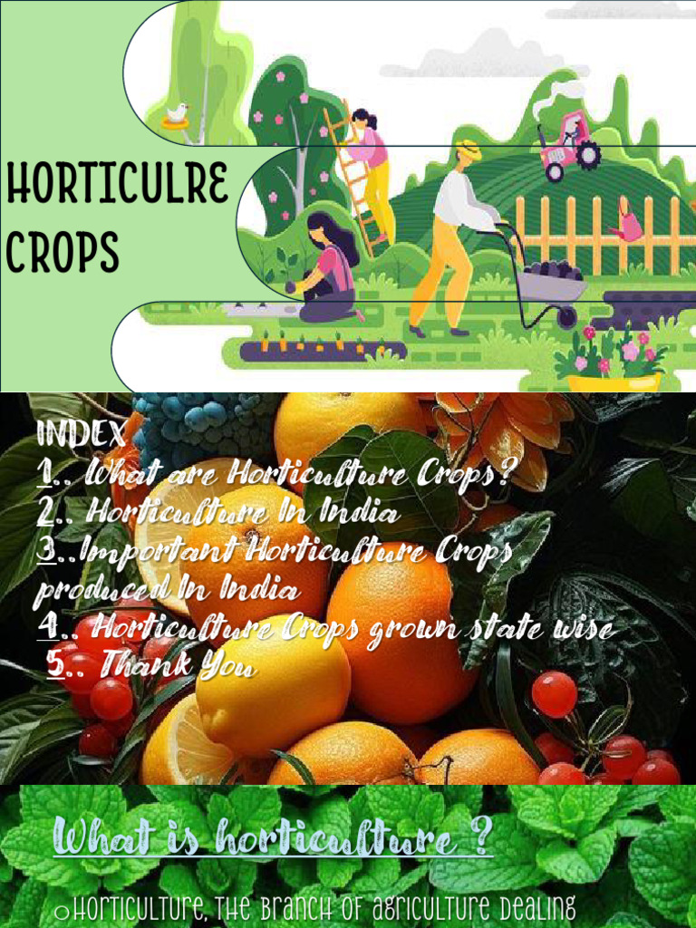 Key Horticulture Crops in India | PDF