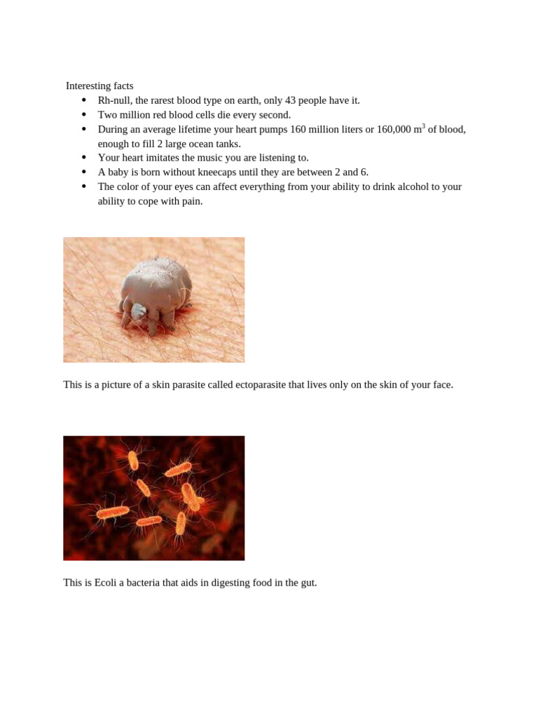 Interesting Facts | PDF