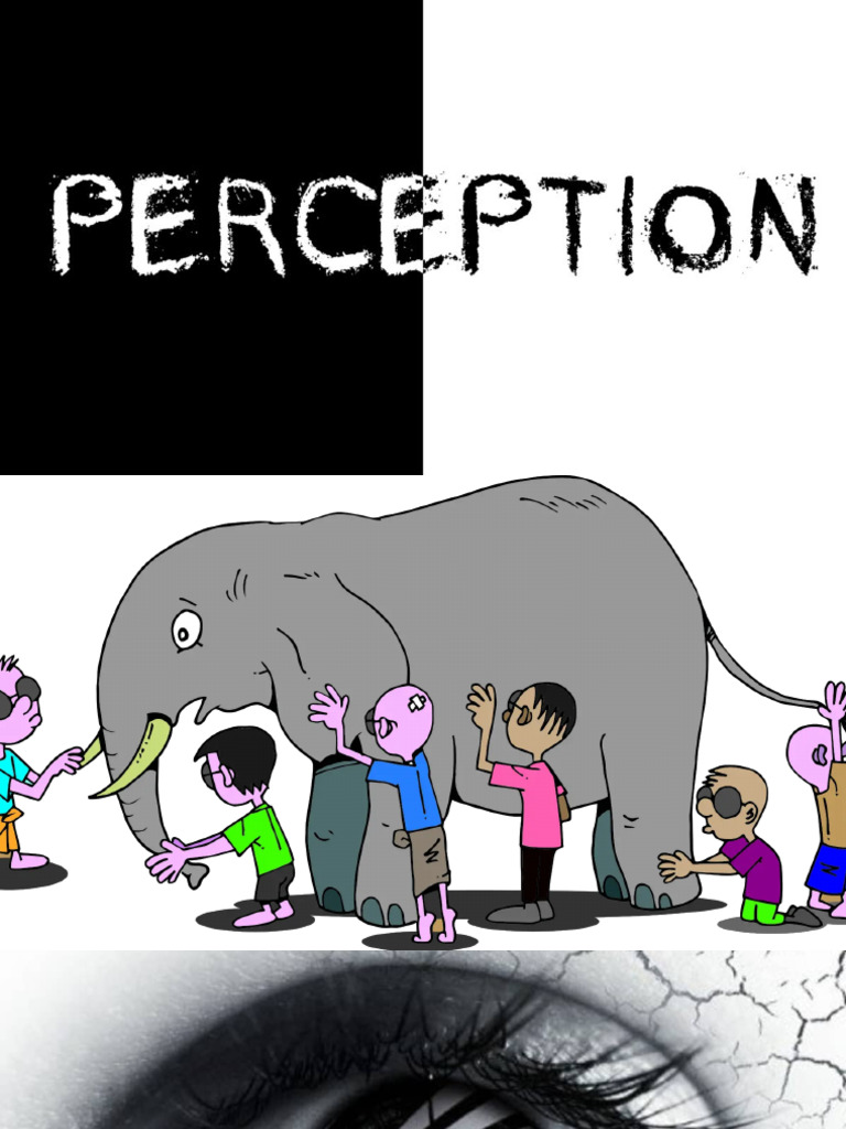 SS-6 - Perception & Attribution | PDF | Perception | Social Psychology