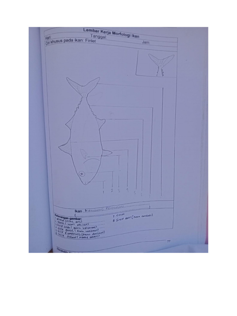 Acc3 Elsa - L021231109 | PDF