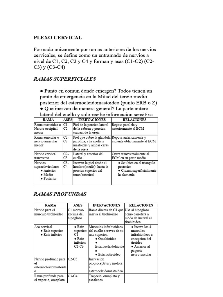 Estructura y Funciones del Plexo Cervical | PDF | Anatomía humana ...