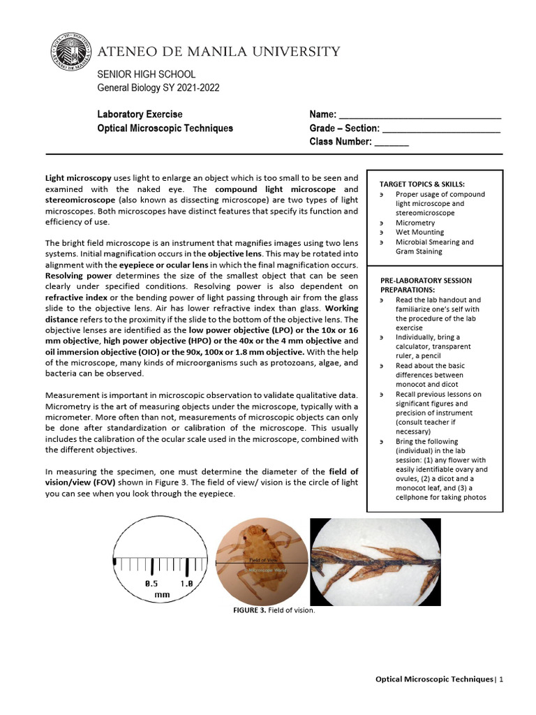 Optical Microscopy Techniques Guide | PDF | Gram Positive Bacteria ...
