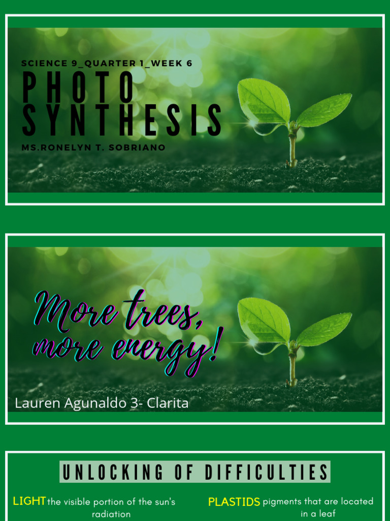Photosynthesis - Grade 9 Lesson | PDF | Photosynthesis | Chloroplast